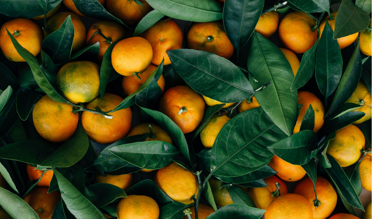 PCOSITOL – The Nutrition House